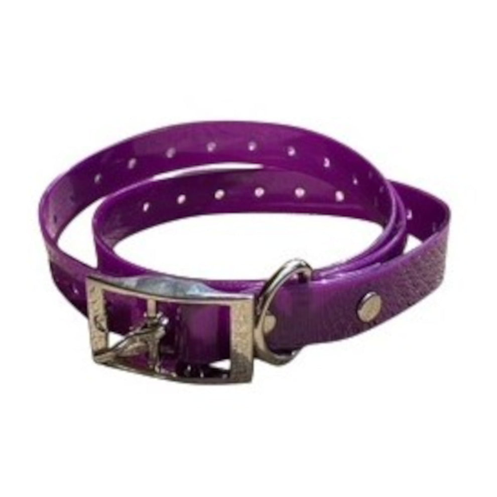 18mm Wide Replacement Dog Collar – Alpha Hunting and Outdoors
